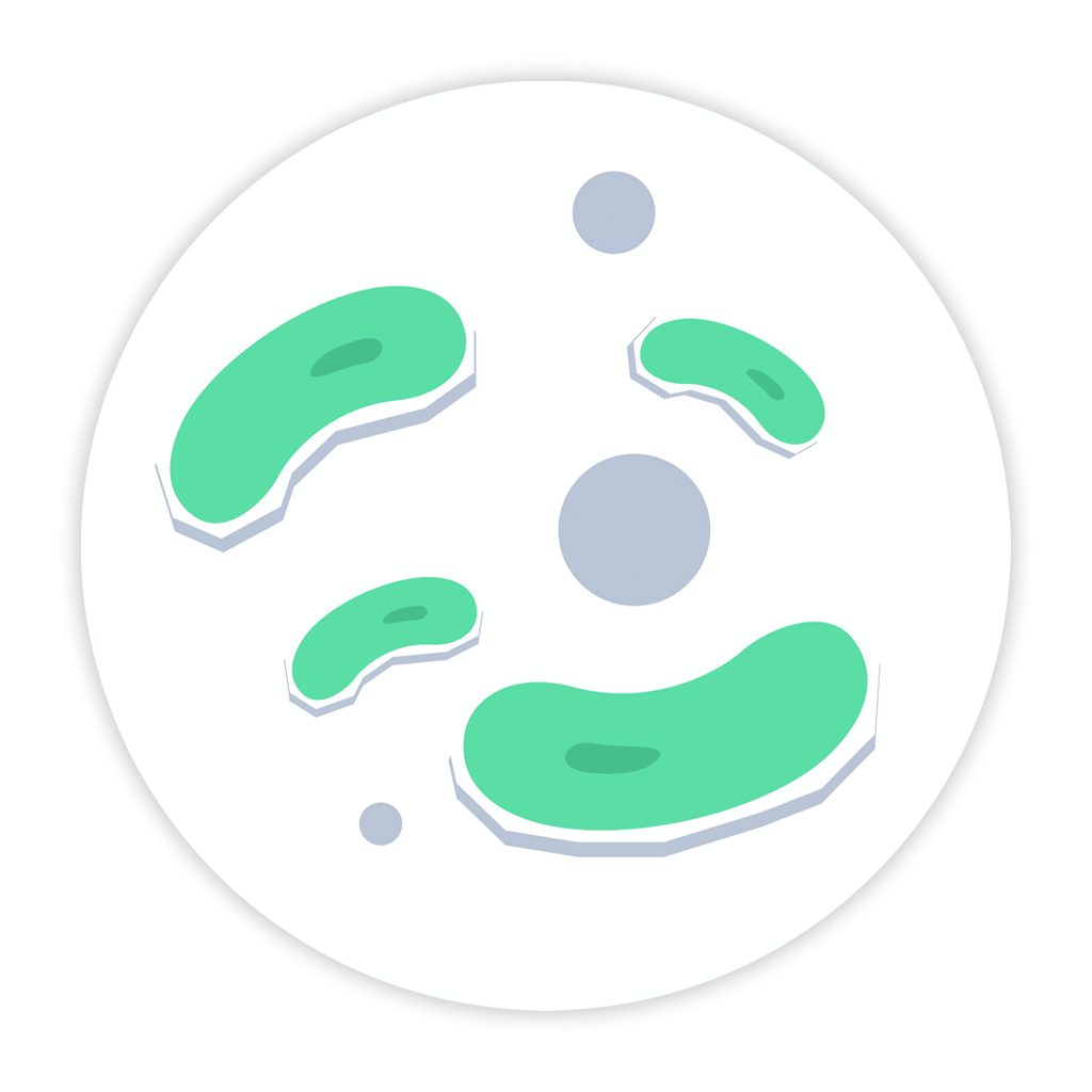 Streptococcus thermophilus ST81 | Вивасан